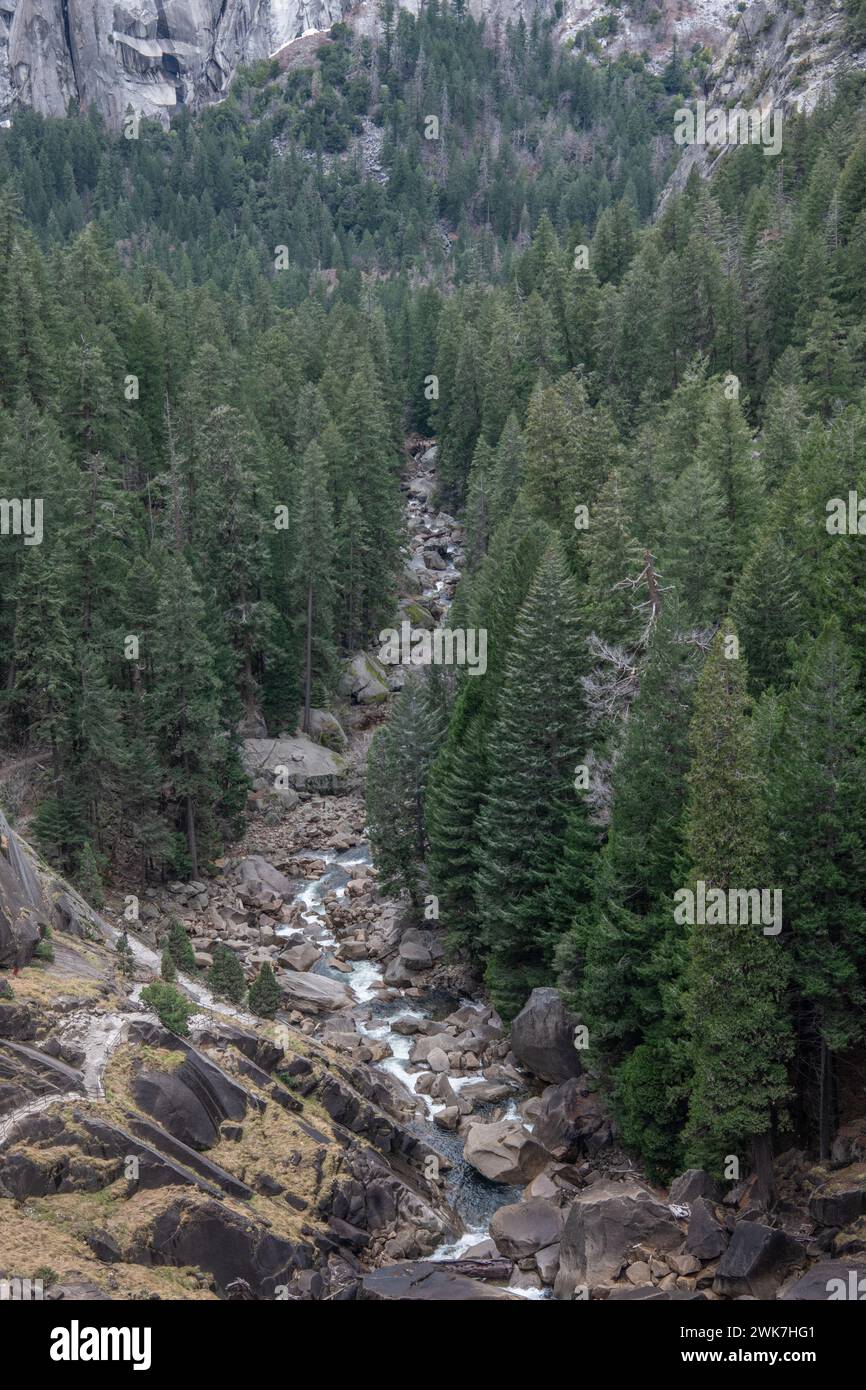 Montane ecosystem hi-res stock photography and images - Alamy