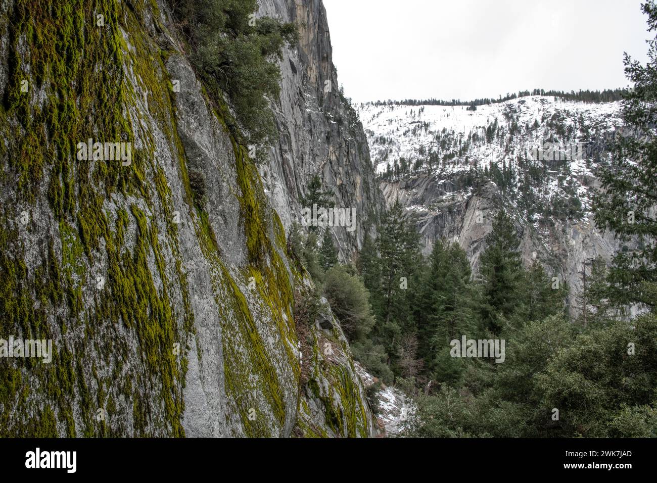 A rocky cliffside in the Sierra Nevada Mountains in Yosemite National ...