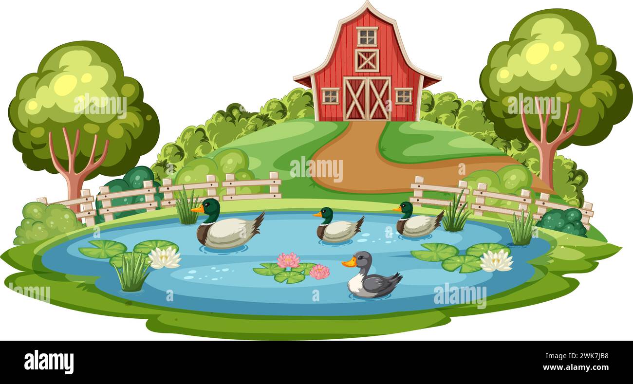 Vector illustration of ducks swimming in a farm pond Stock Vector Image & Art - Alamy