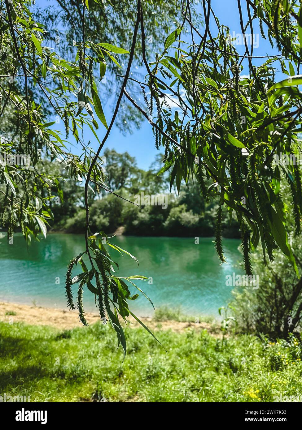 view of blue river water through tree branch Stock Photo - Alamy
