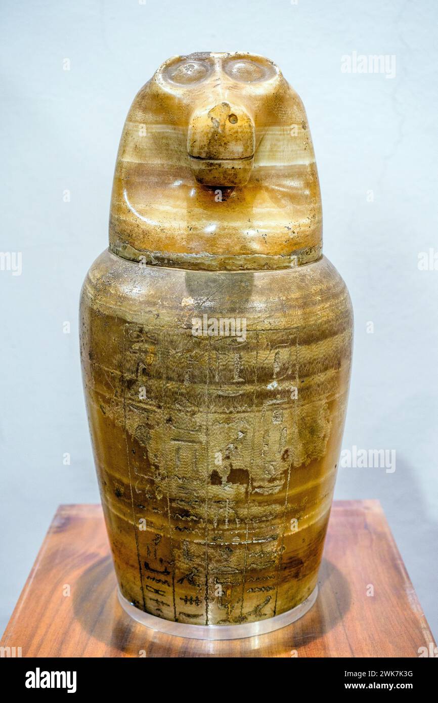 Monkey headed lid hi-res stock photography and images - Alamy