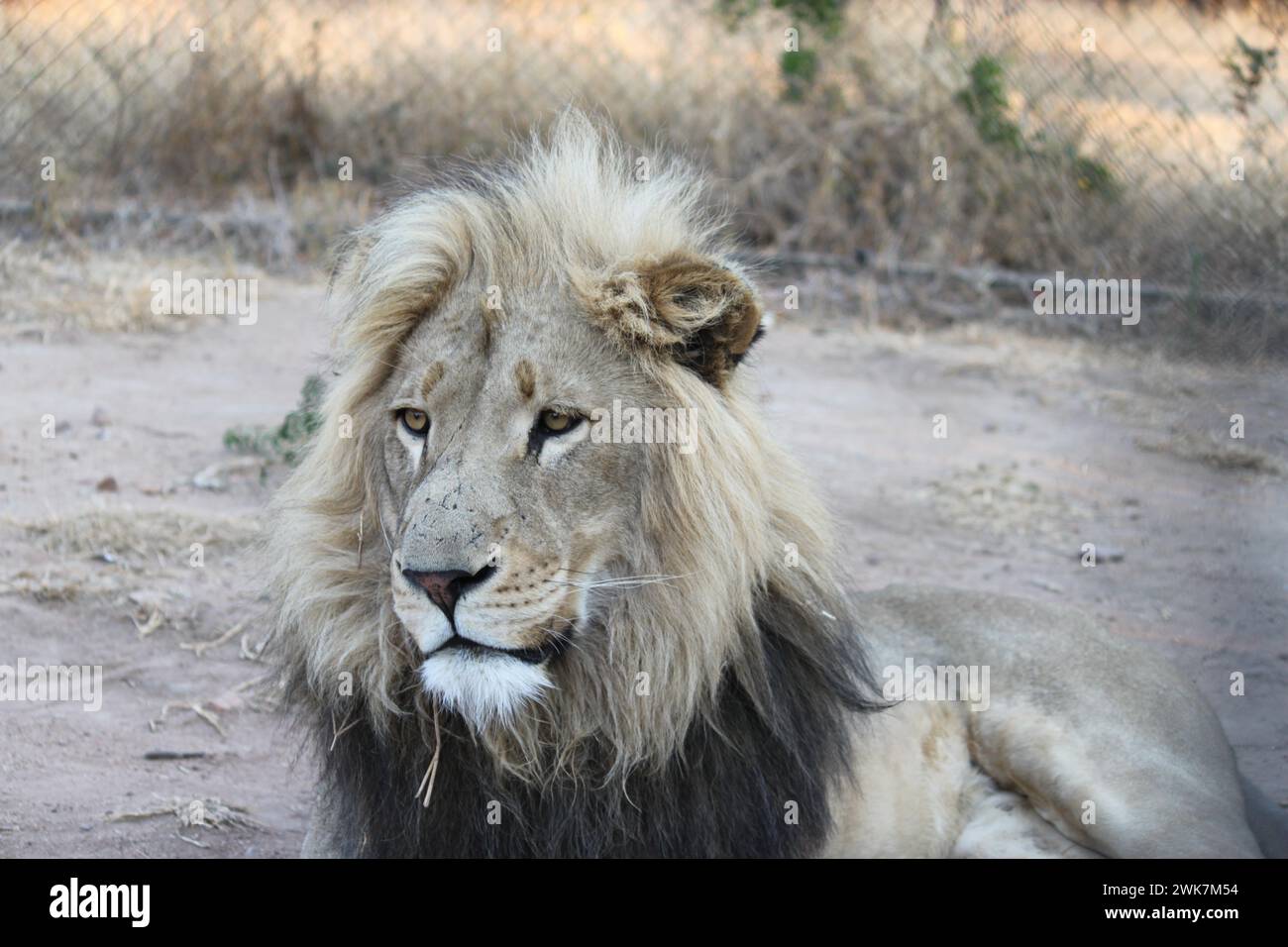 Regal sanctuary hi-res stock photography and images - Alamy