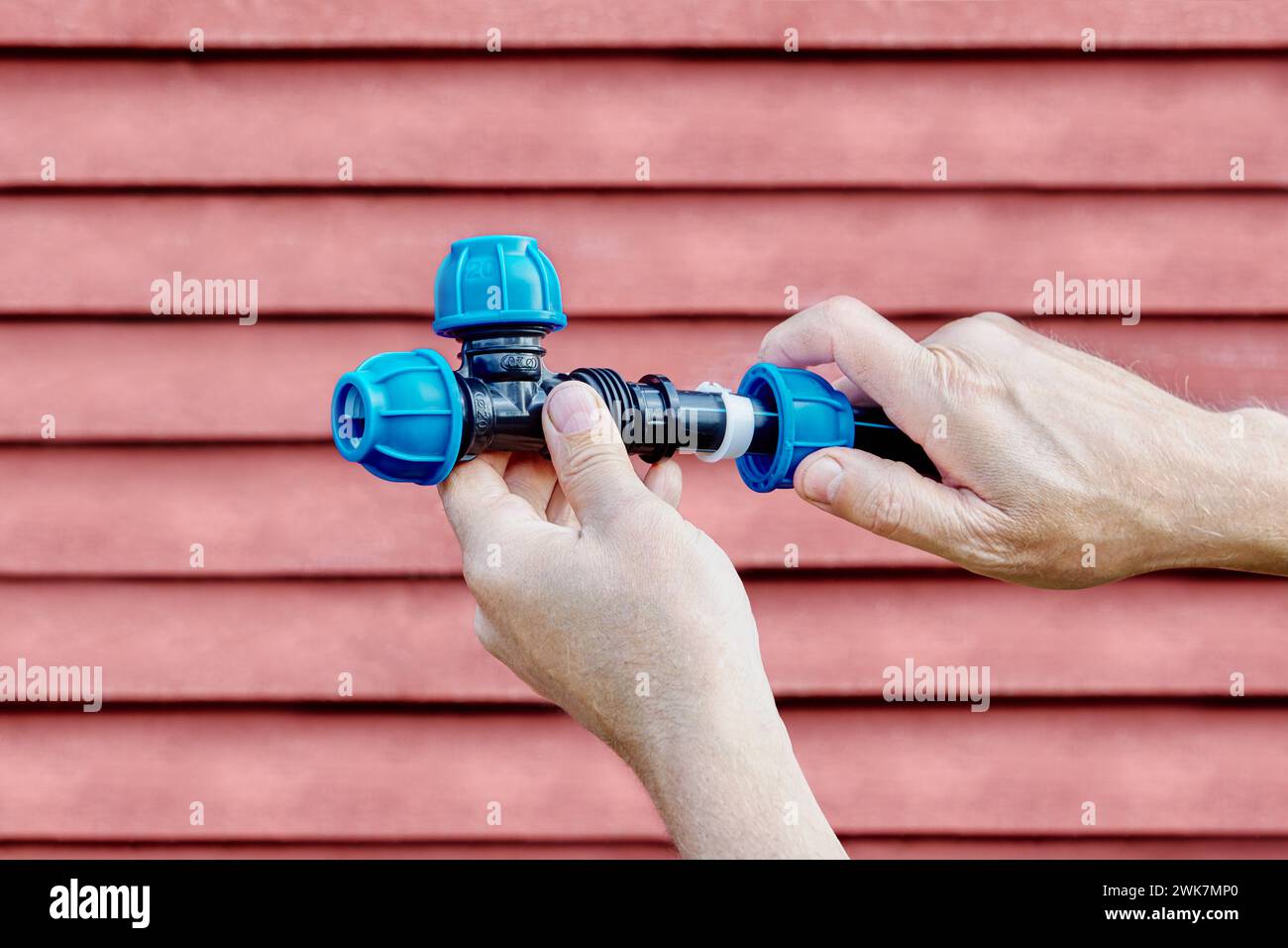 Mating system hi-res stock photography and images - Alamy