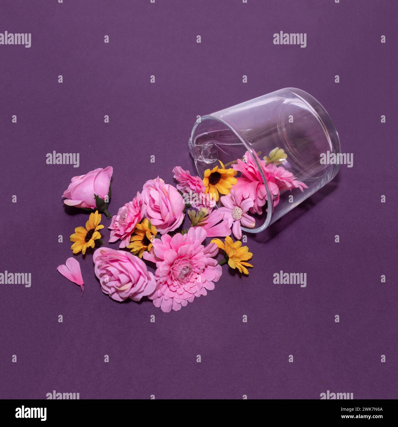 flowers come out from a glass. Concept photography in studio. Creative ...