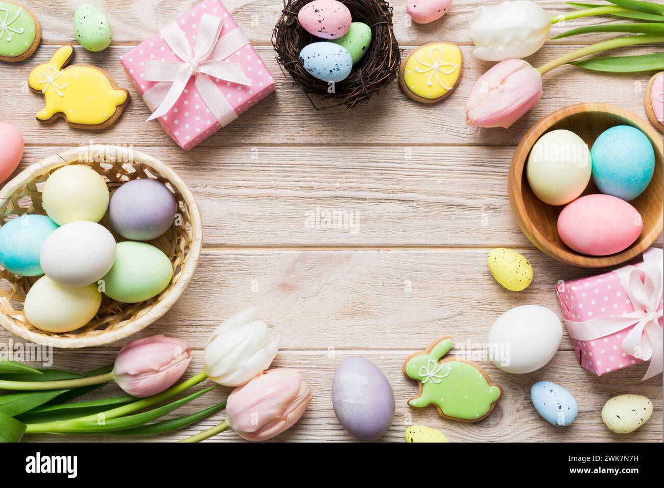 Easter frame with eggs, gift box and tulip on a colored background. The ...
