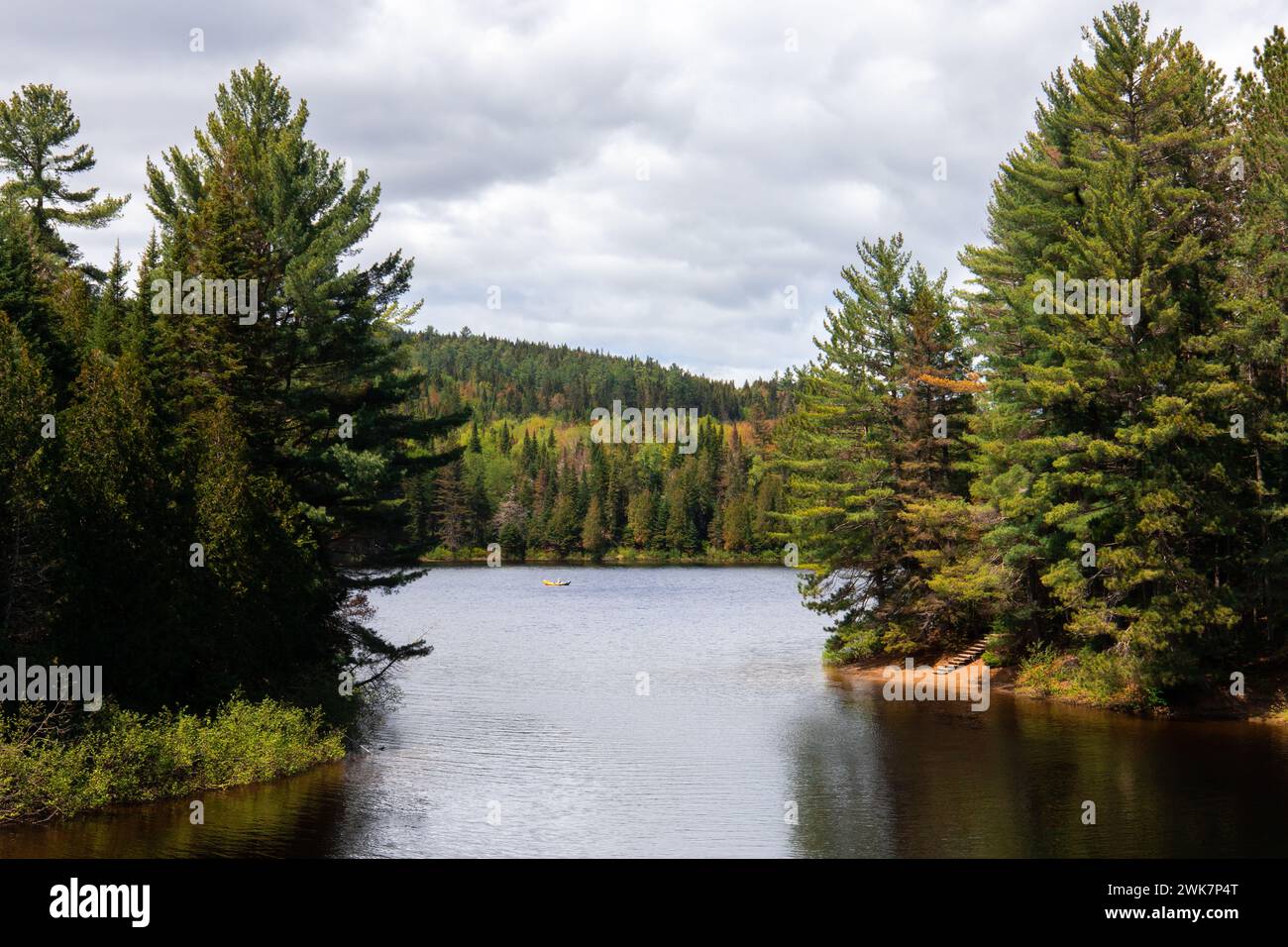 Scenic lake view through surrounding trees Stock Photo - Alamy