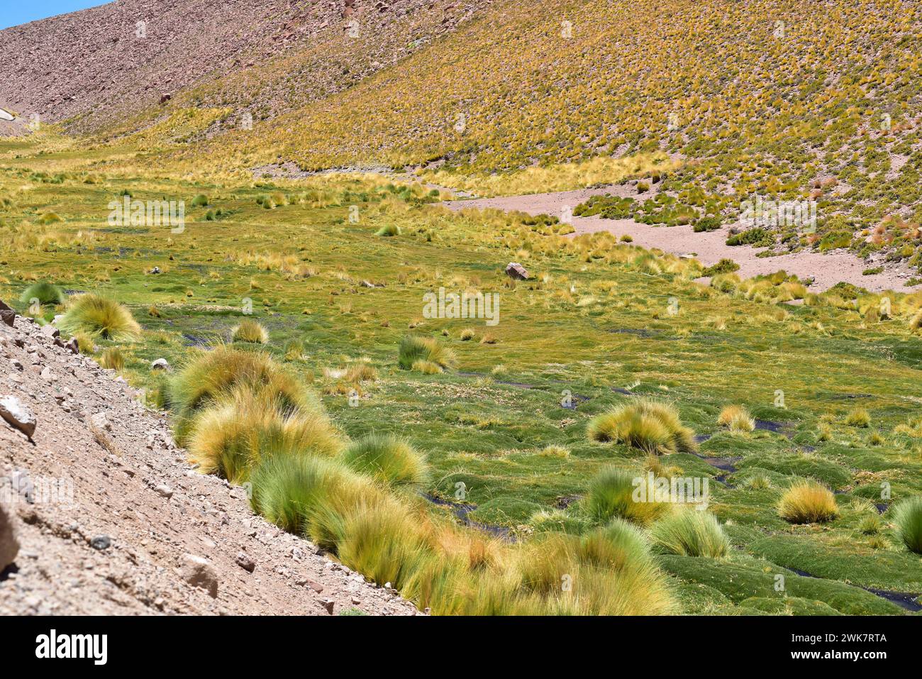 Region andina hi-res stock photography and images - Alamy