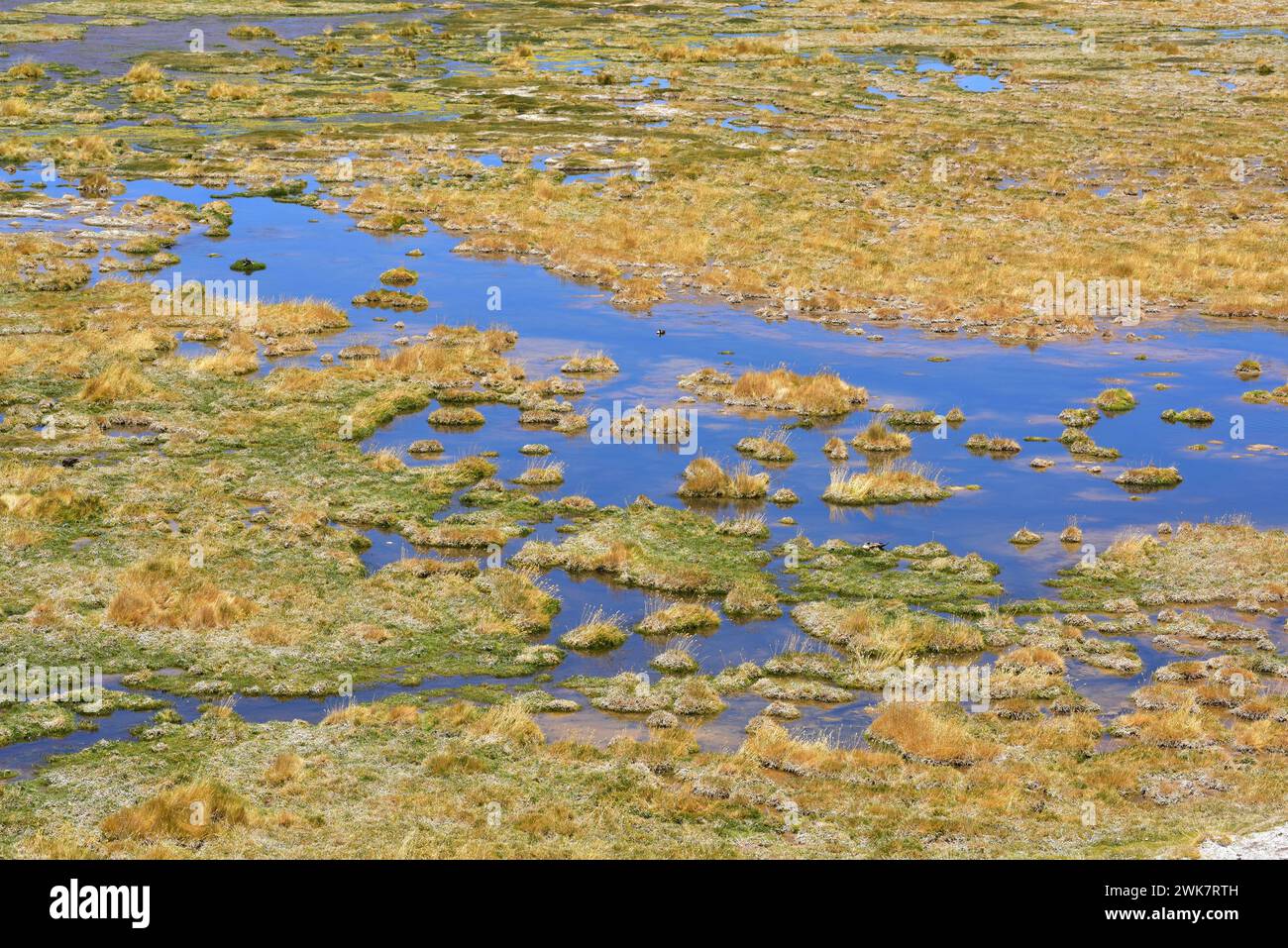 Región andina hi-res stock photography and images - Alamy