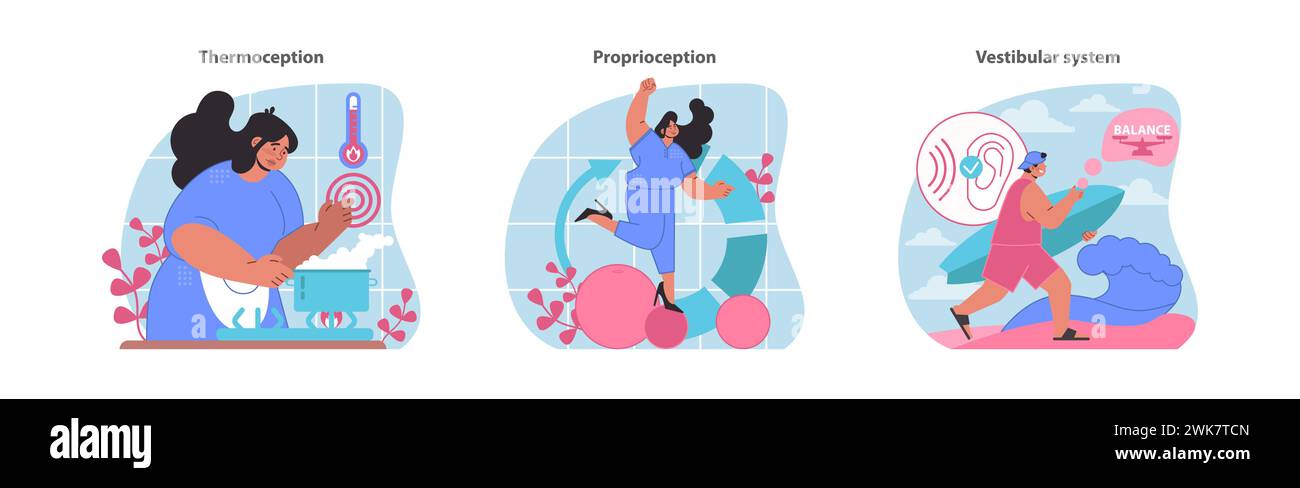 Sensory systems set. Depicting thermoception, proprioception, and the ...