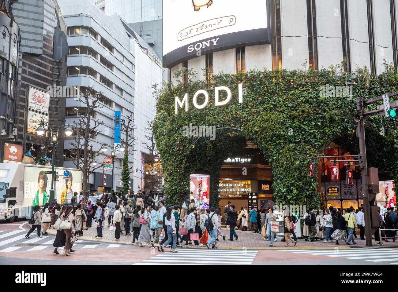 Shibuya city in Tokyo, early evening,crods on the street beside the ...