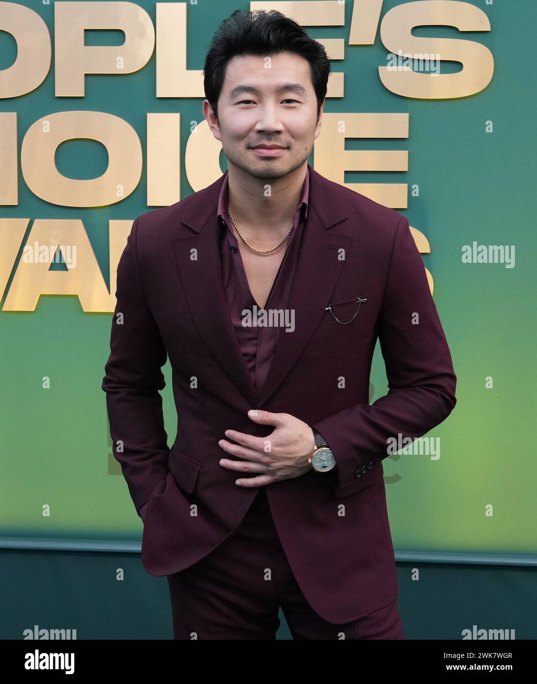 Los Angeles, USA. 18th Feb, 2024. Simu Liu walking on the red carpet at ...