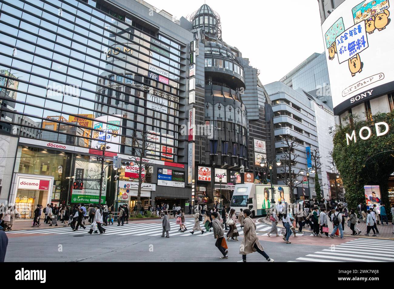 Shibuya city in Tokyo, early evening,crods on the street beside the ...