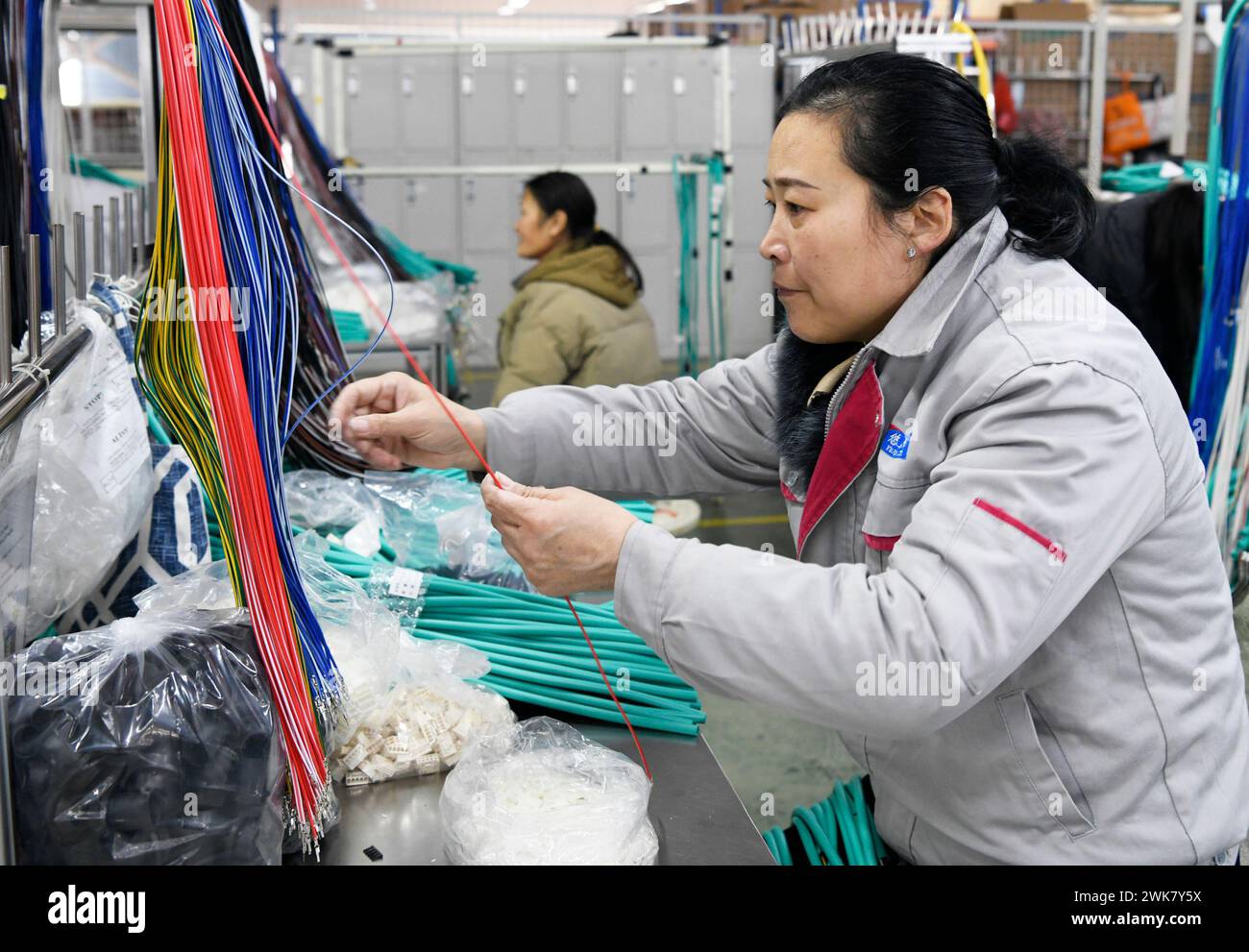 ZAOZHUANG, CHINA - FEBRUARY 19, 2024 - A worker produces home appliance wiring harness products ...