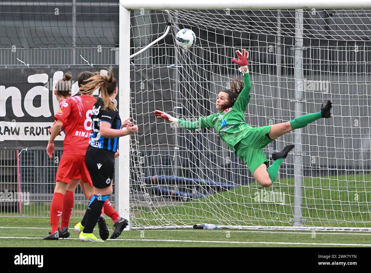 Aalter, Belgium. 17th Feb, 2024. goal attempt by Davinia Vanmechelen (25) of Club YLA pictured ...