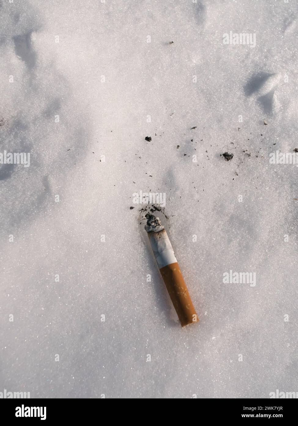 cigarette butt on snow Stock Photo - Alamy