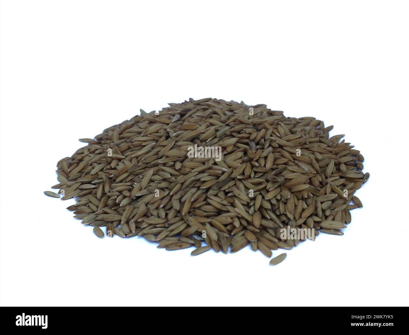 Small pile of rice seed grains isolated on white background Stock Photo ...