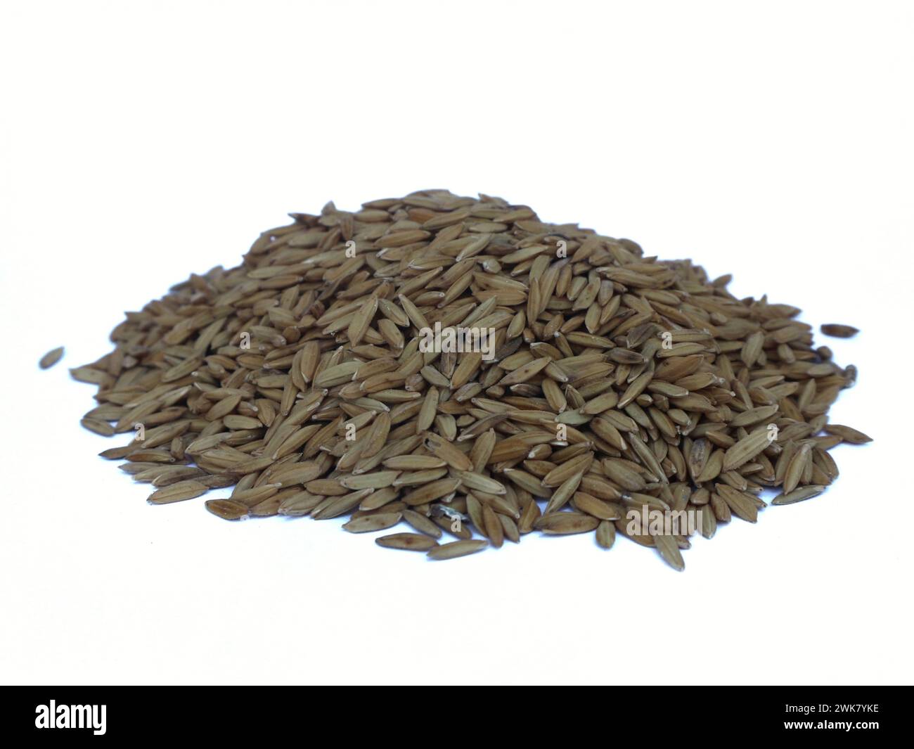 Small pile of rice seed grains isolated on white background Stock Photo ...