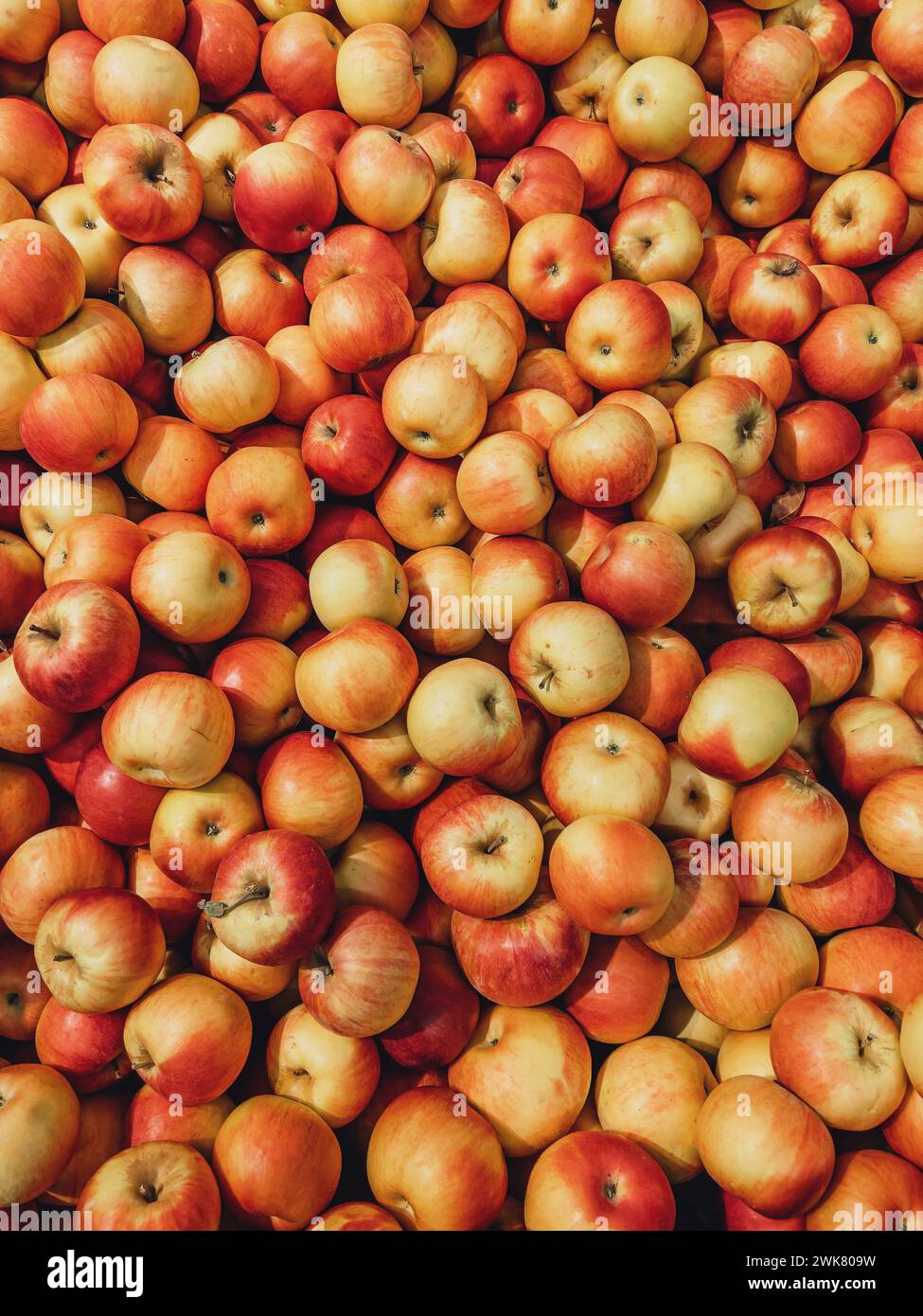 Pile of ripe apples in farmer's market store, top view Stock Photo - Alamy