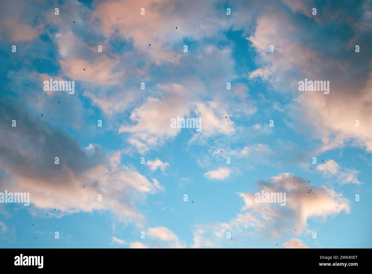 Migration theme hi-res stock photography and images - Alamy