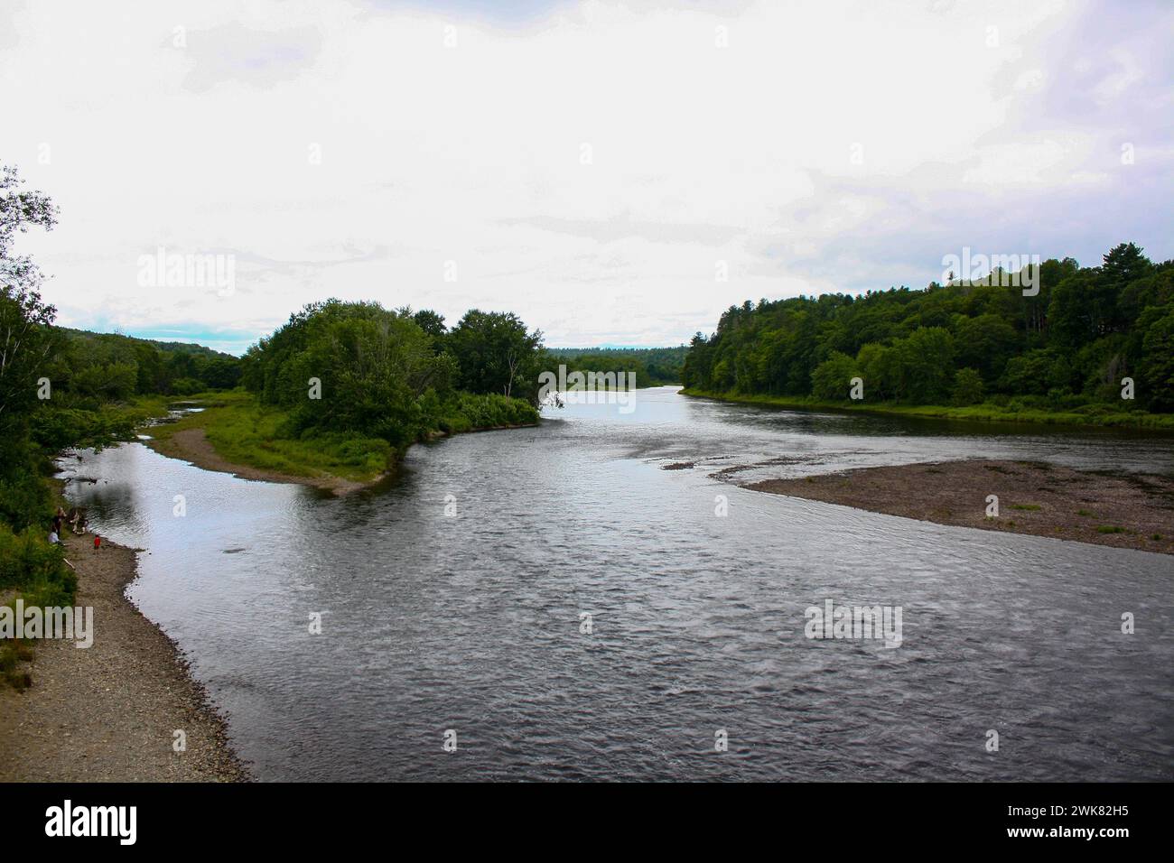 A view of a river flowing through a forest filled with green trees ...