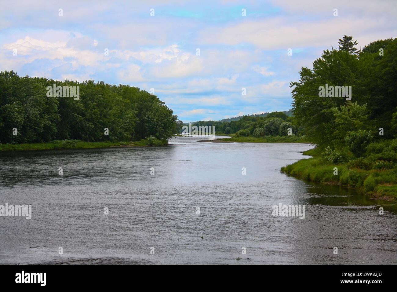 A river flowing through a forest filled with lush green trees Stock ...