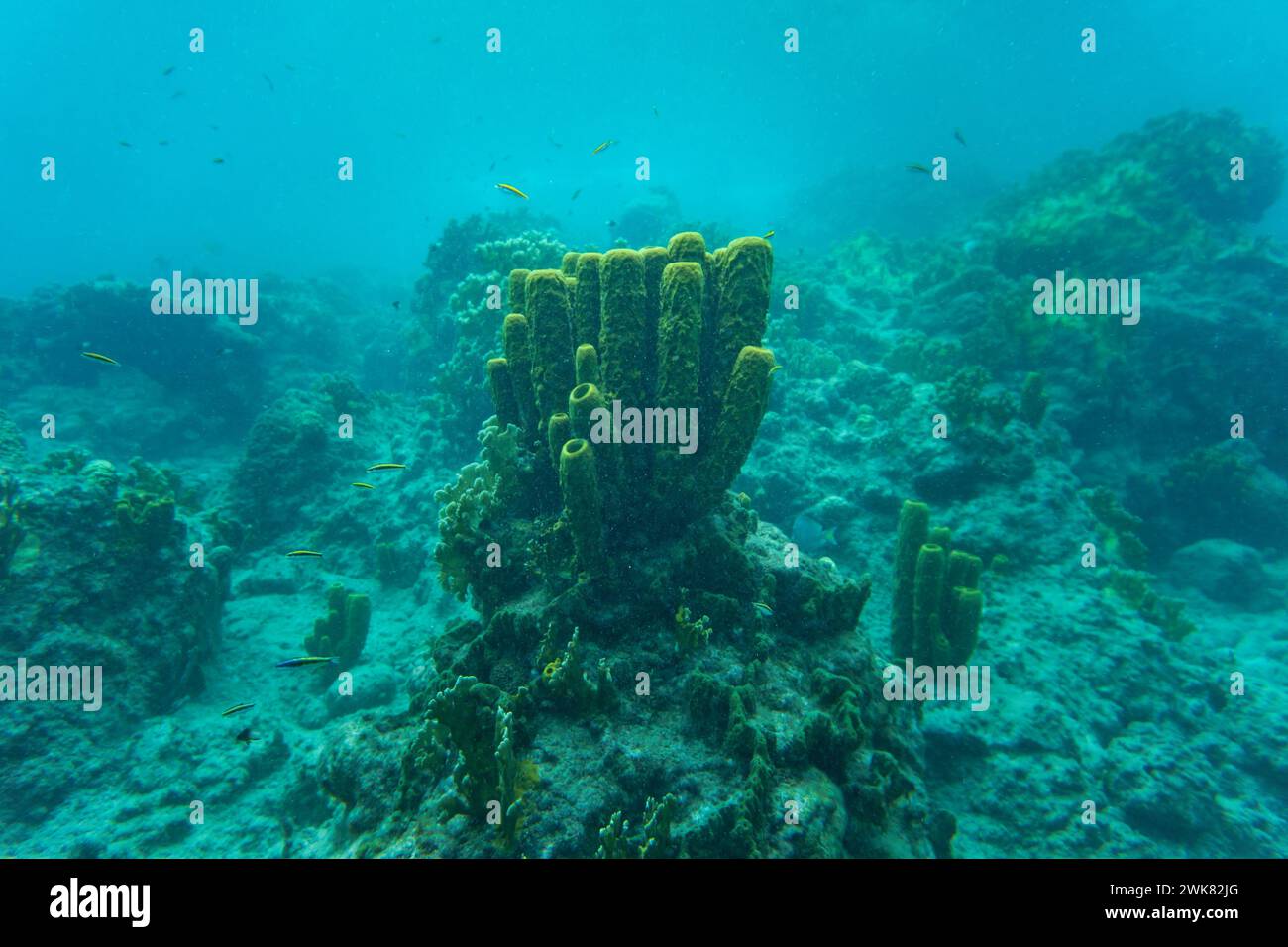 Underwater chimney ocean hi-res stock photography and images - Alamy