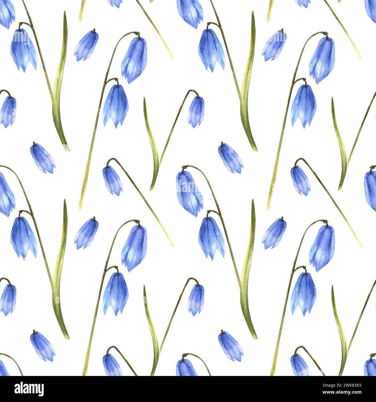 Early spring plant seamless pattern, squills, spring scylla blue ...