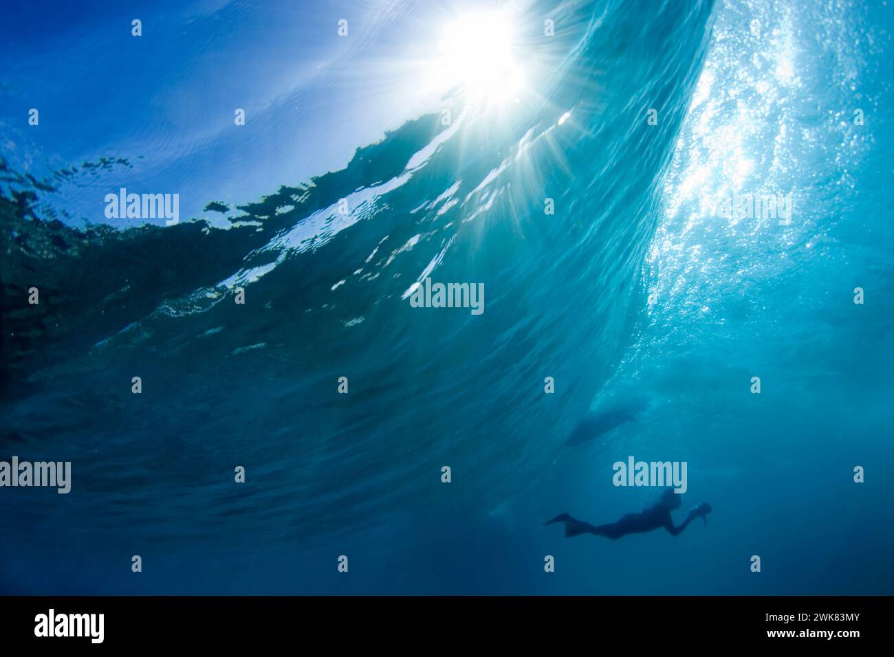 under water view of photographer swimming under large wave, Hawaii ...
