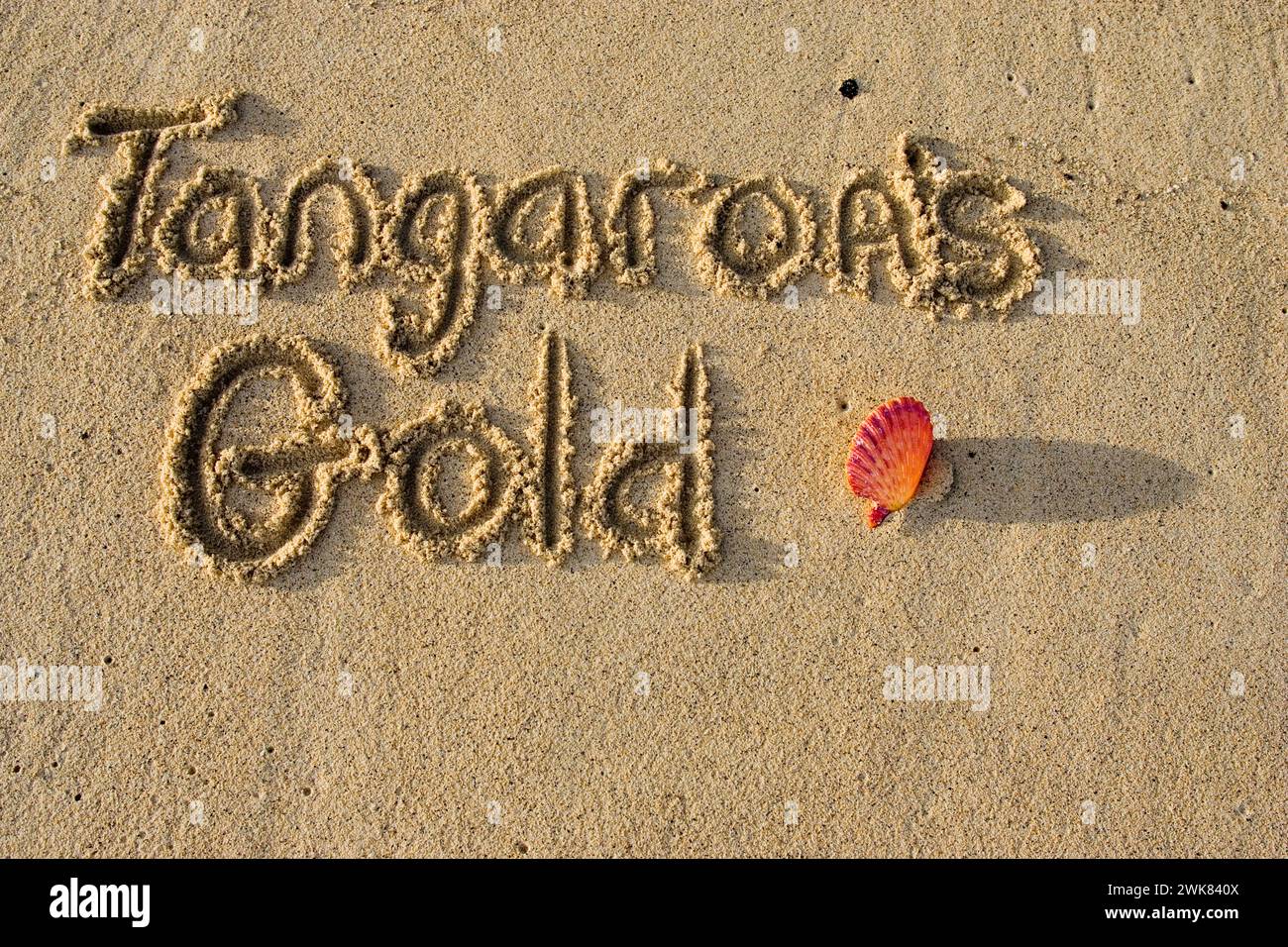 Words in sand hi-res stock photography and images - Alamy