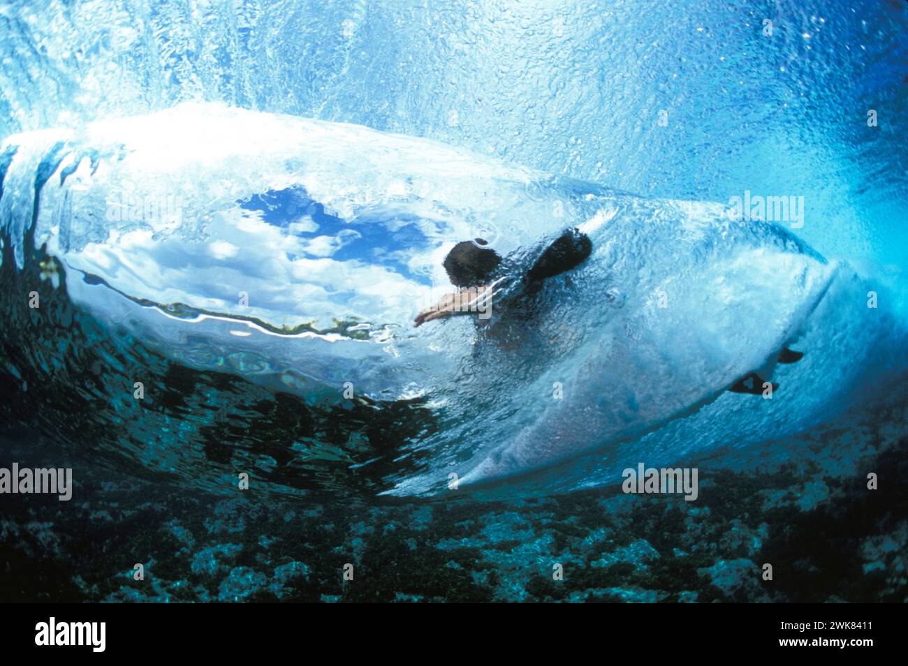 Haatafu hi-res stock photography and images - Alamy