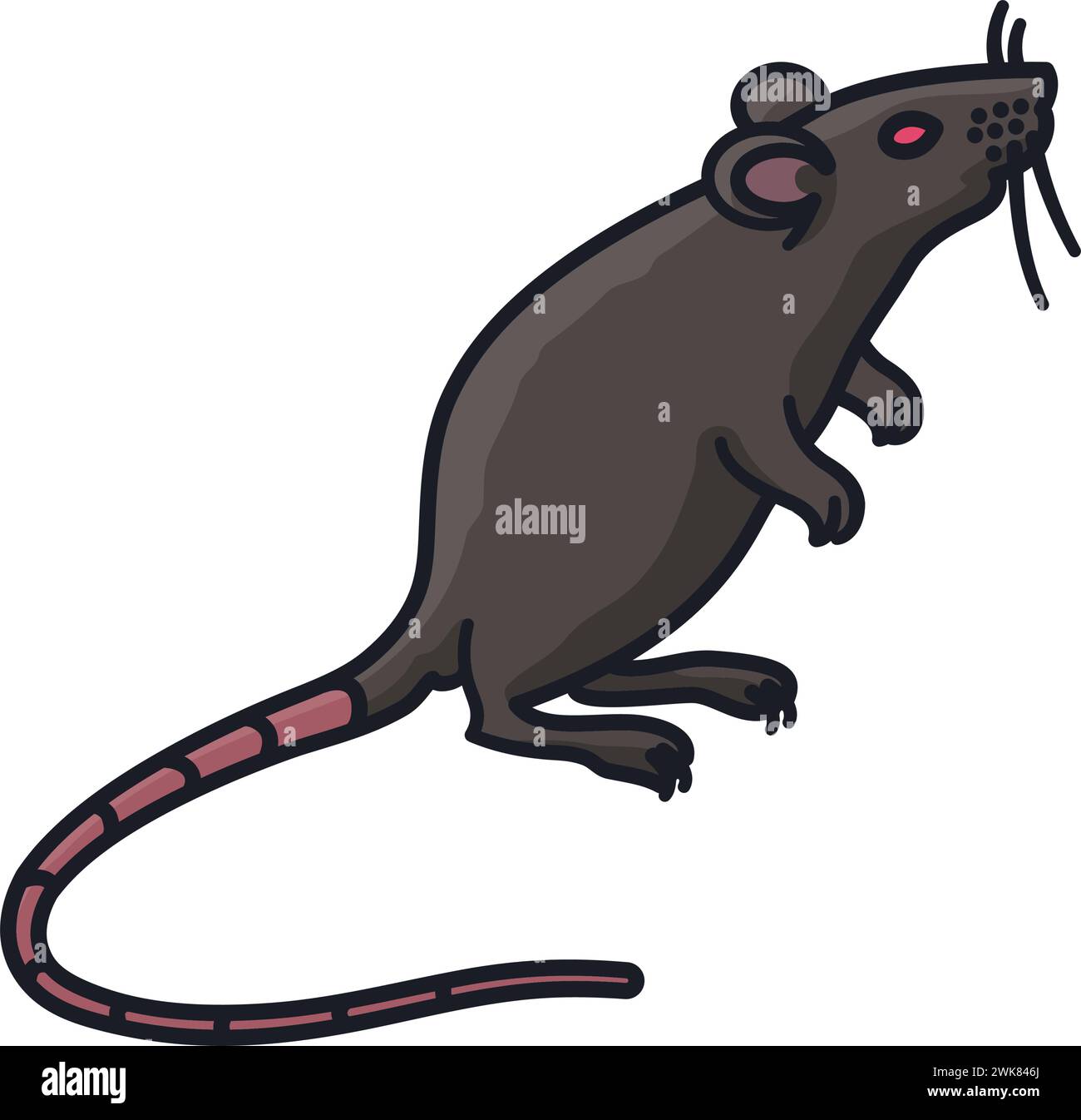 Rat standing on hind legs isolated vector illustration for Rat Day on ...