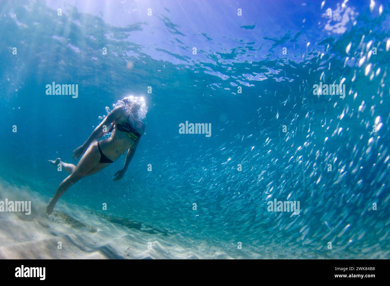 Woman swimming underwater oahu hi-res stock photography and images - Alamy
