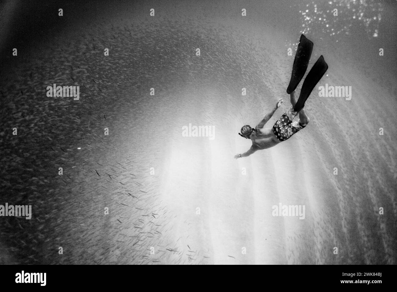 Person swimming fish hi-res stock photography and images - Alamy