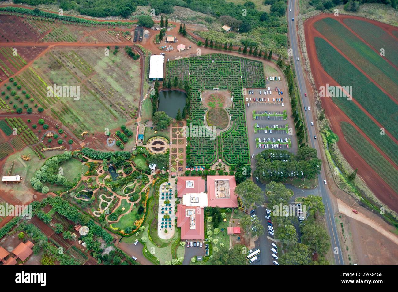 Dole Plantation Maze in Hawaii Stock Photo - Alamy