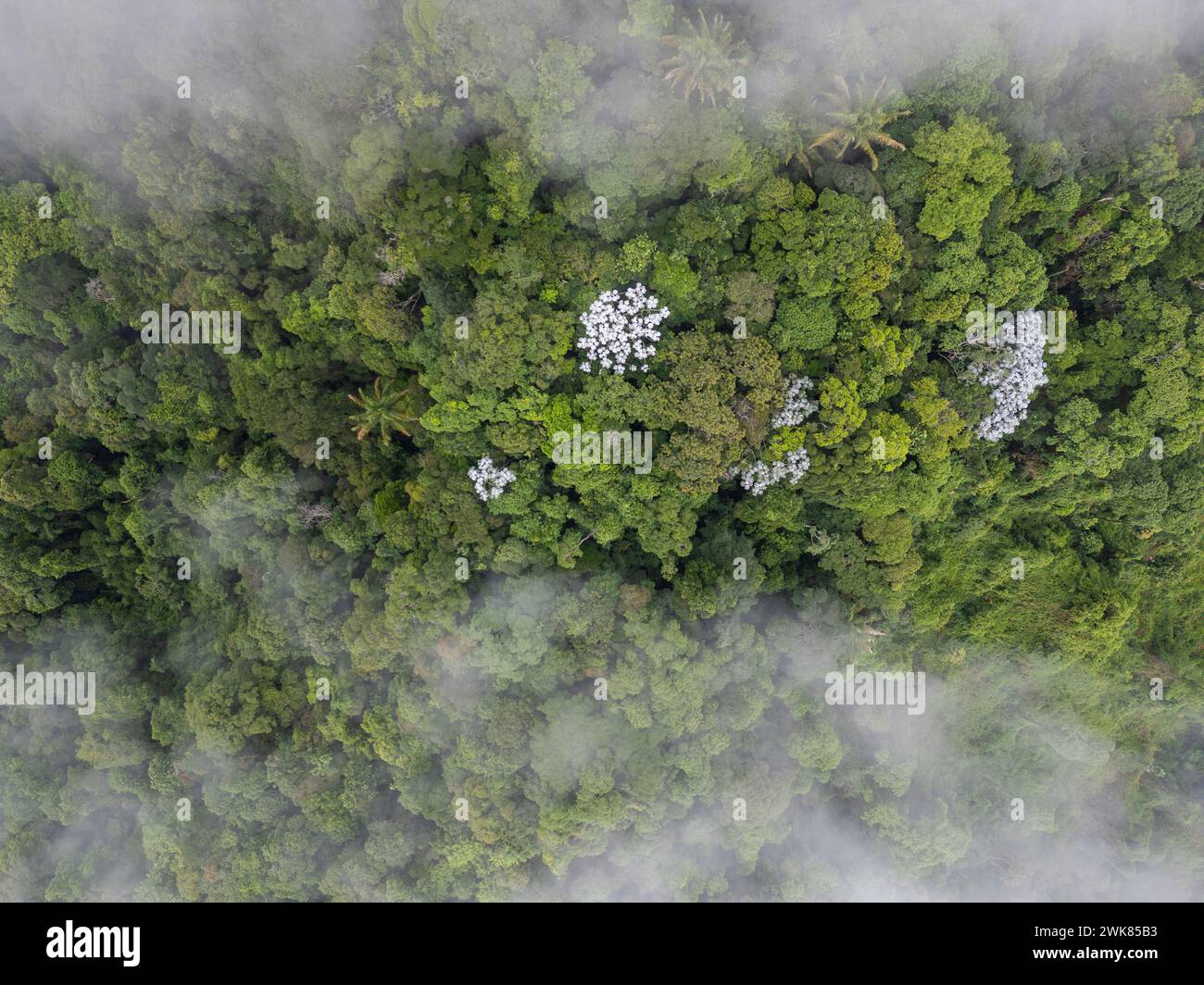 Top down view of clouds hi-res stock photography and images - Alamy