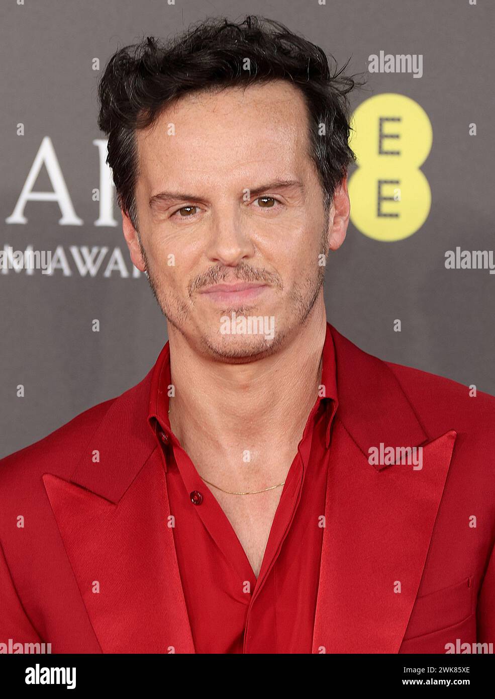 Feb 18, 2024 - London, England, UK - Andrew Scott attending The 2024 EE ...
