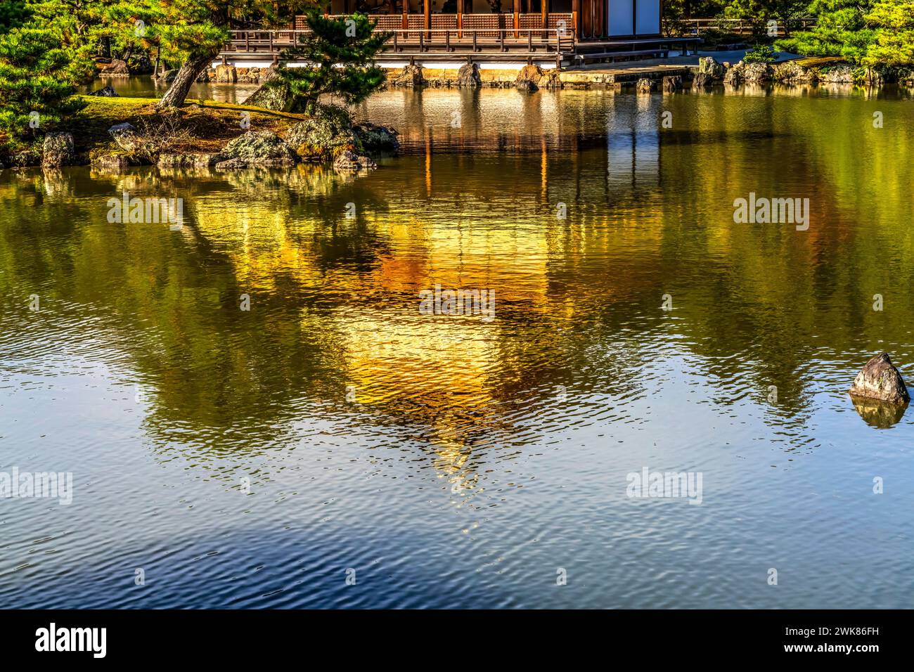 Water Reflection Garden Kinkaku-Ji Golden Pavilion Temple Kyoto Stock ...