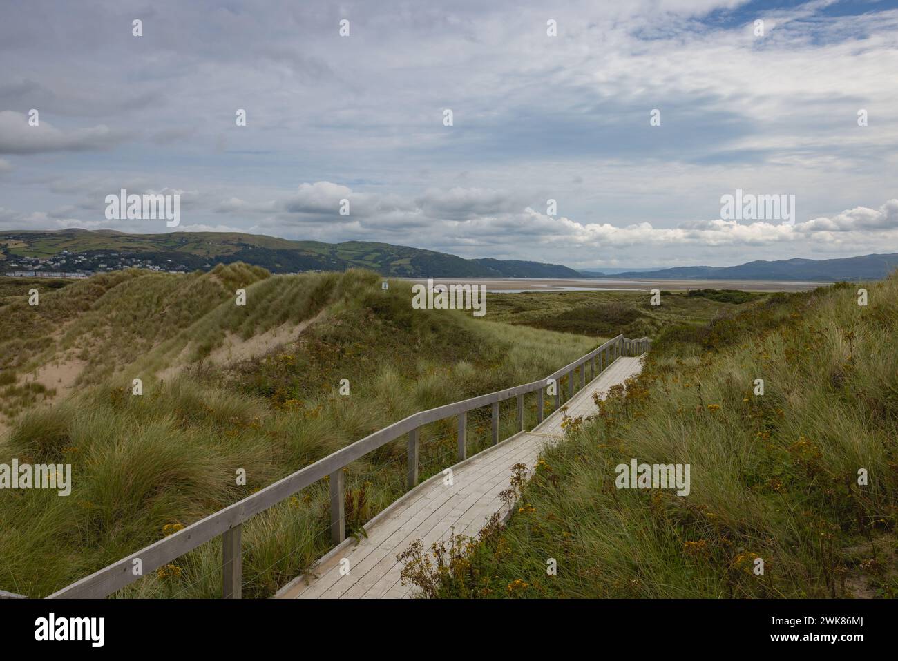 Ynyslas Sand Dunes are part of the Dyfi National Nature Reserve Stock ...