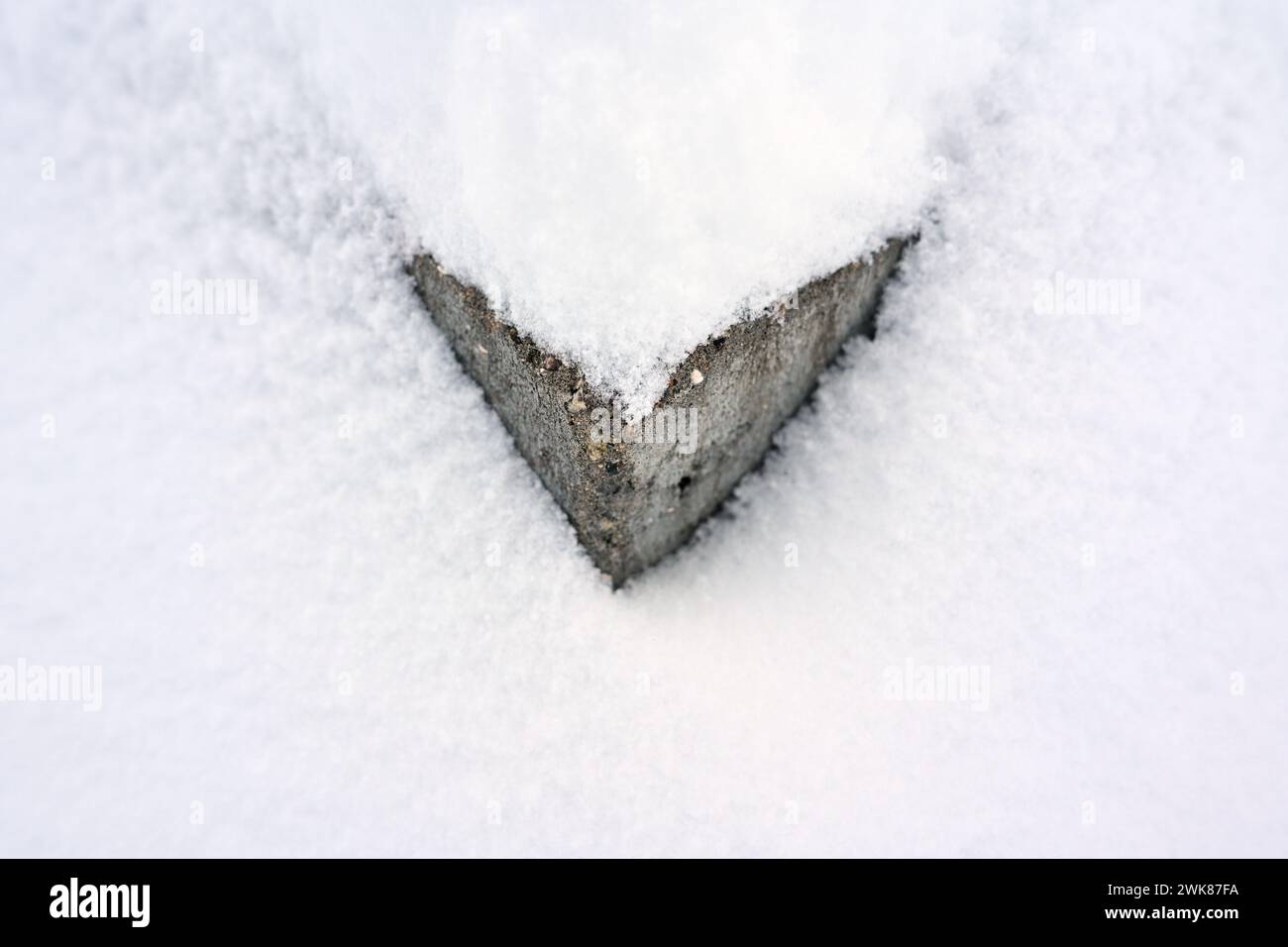 Snow covered tree and concrete kerb Stock Photo - Alamy
