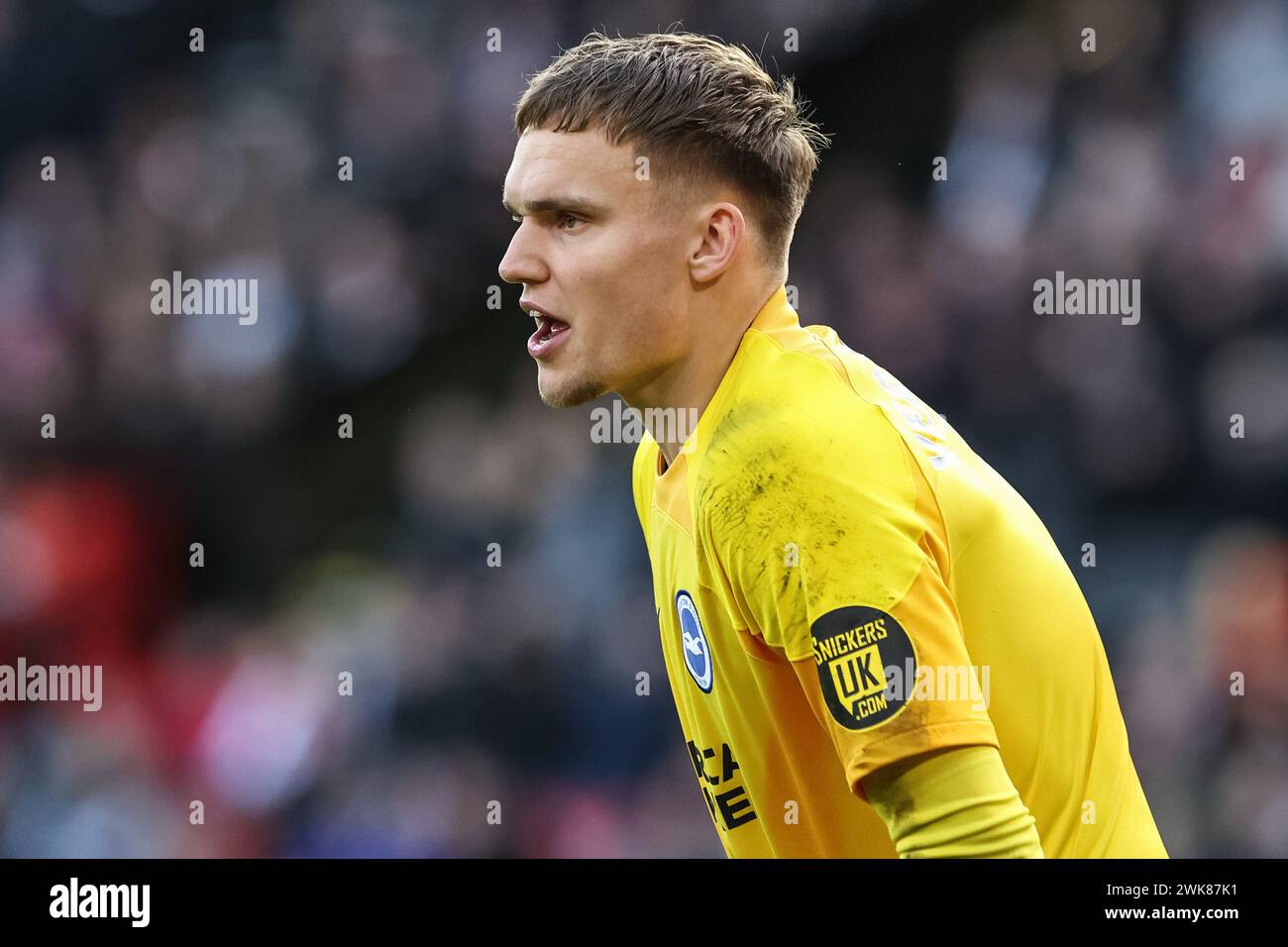 Soccer bart verbruggen hi-res stock photography and images - Alamy