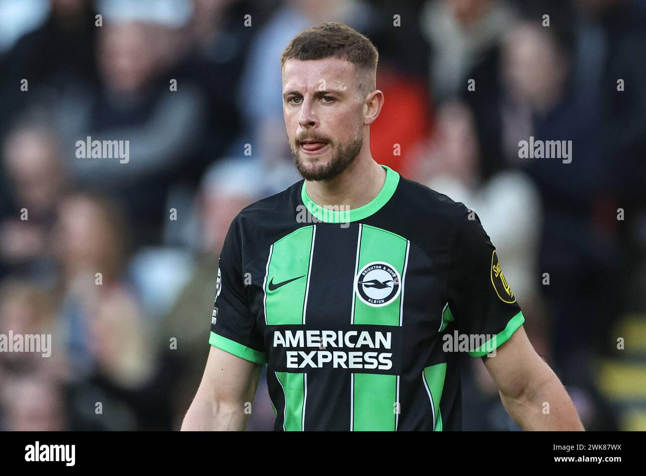 Adam Webster of Brighton & Hove Albion during the Premier League match ...