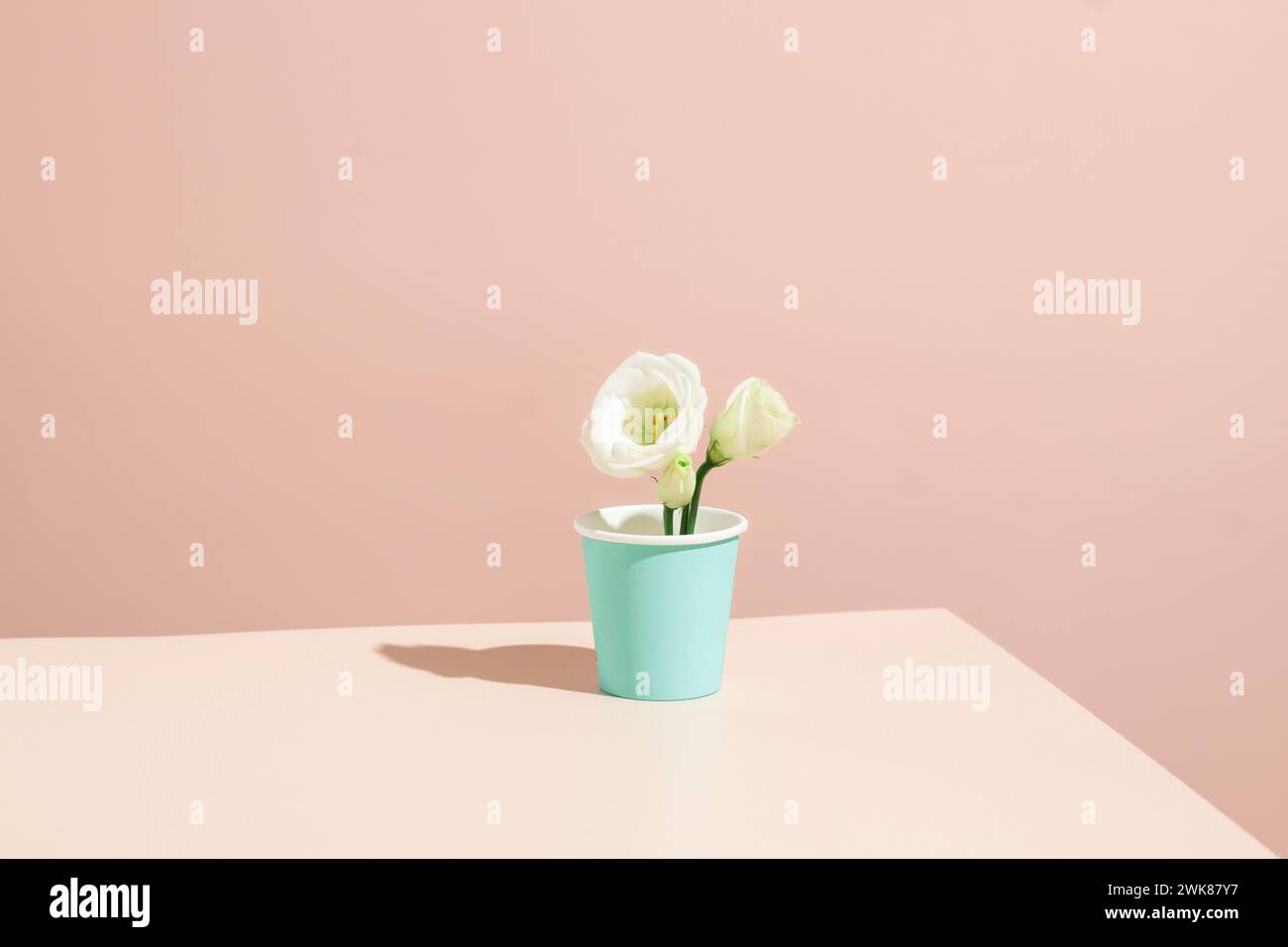 Stack of Recvclable single-use paper cups Stock Photo - Alamy