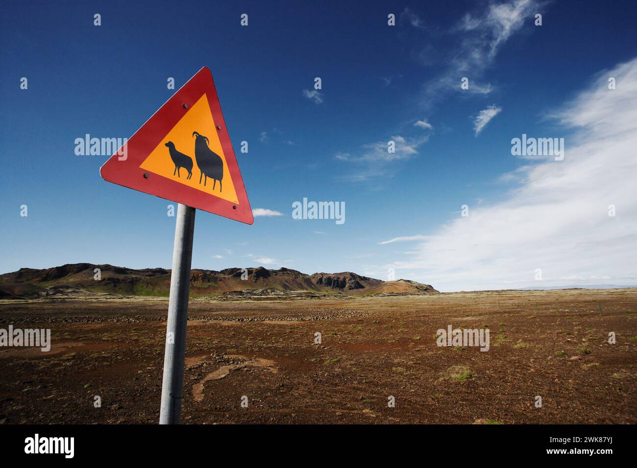 Sheep crossing sign hi-res stock photography and images - Alamy