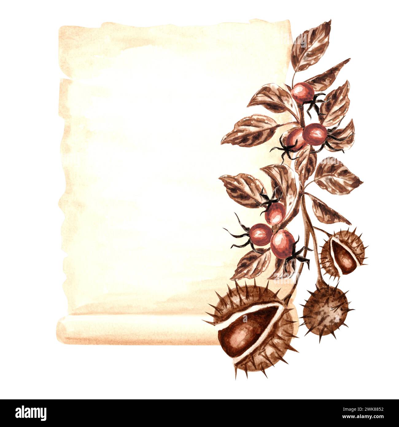 Vintage parchment handwritten paper with chestnut branch, rosehip and ...
