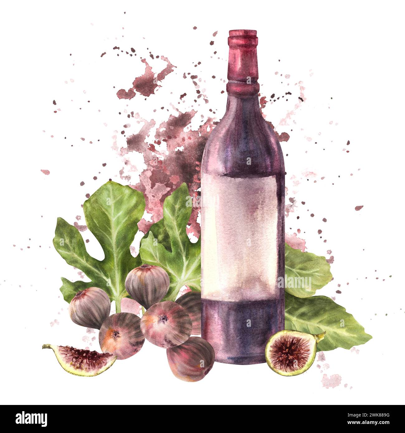 Branch of juicy, ripe purple figs with leaves, whole and cut fruit with ...