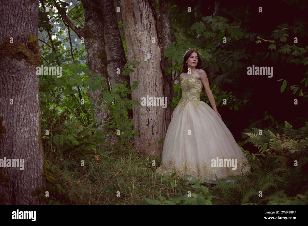 Princess hiding hi-res stock photography and images - Alamy