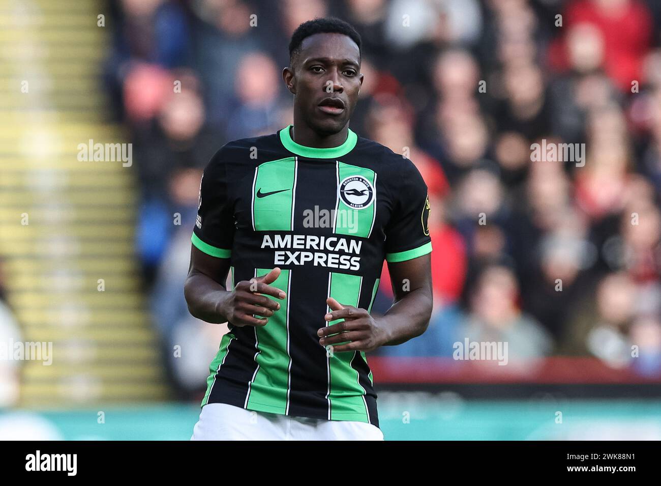 Danny welbeck 2024 hi-res stock photography and images - Alamy