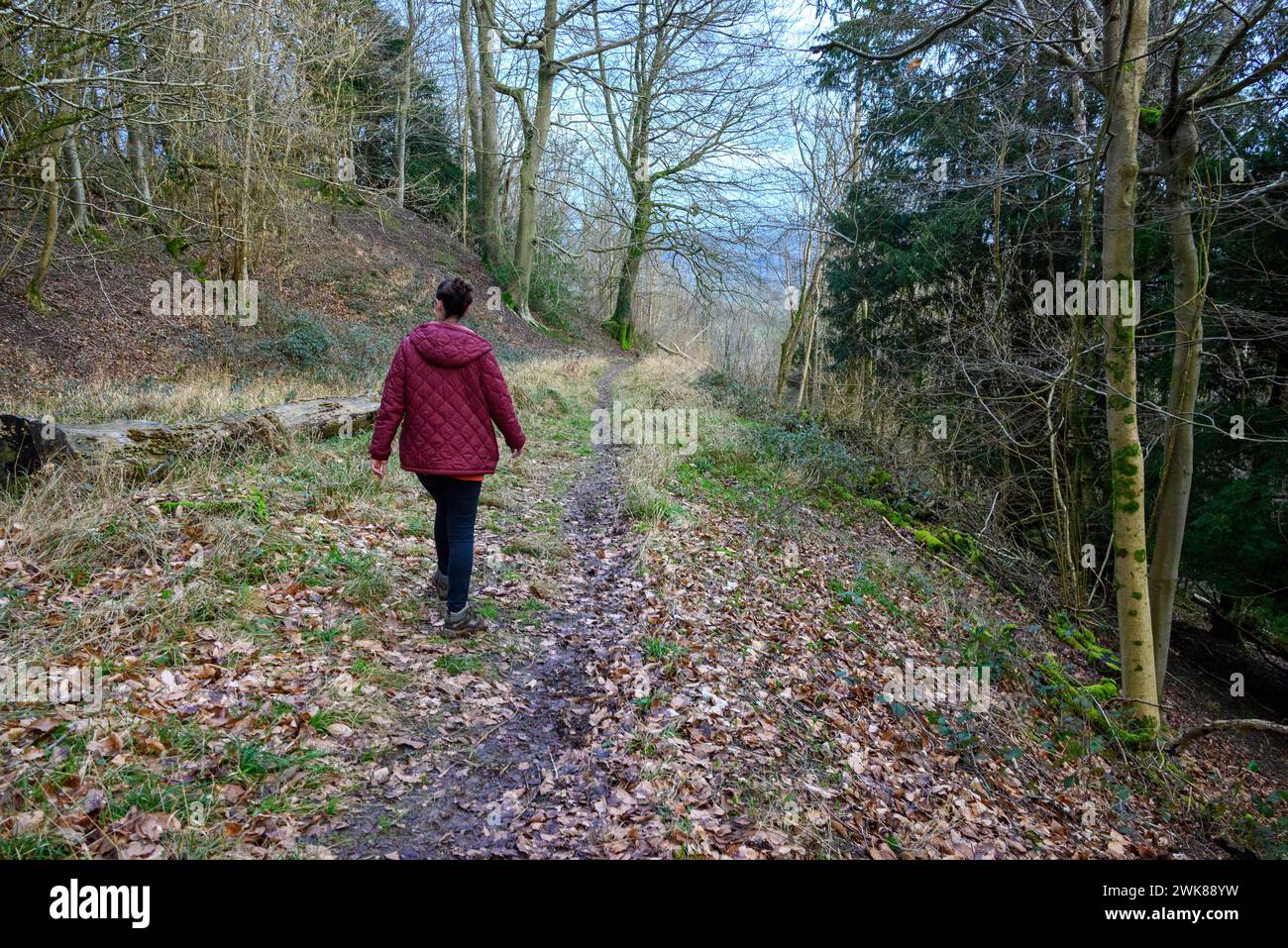 Woman walking uk countryside hi-res stock photography and images - Alamy