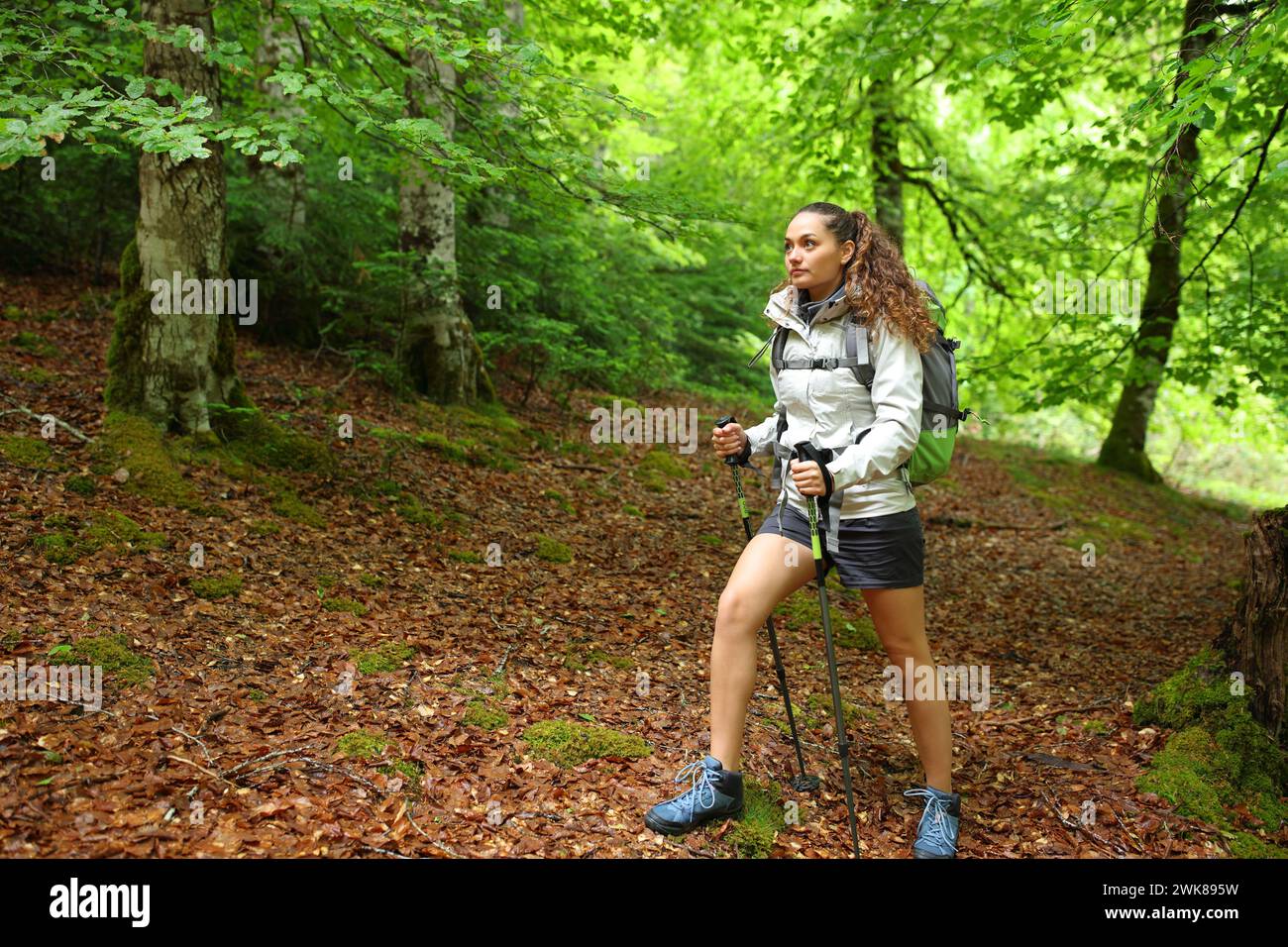 Girl walking alone in forest hi-res stock photography and images - Alamy