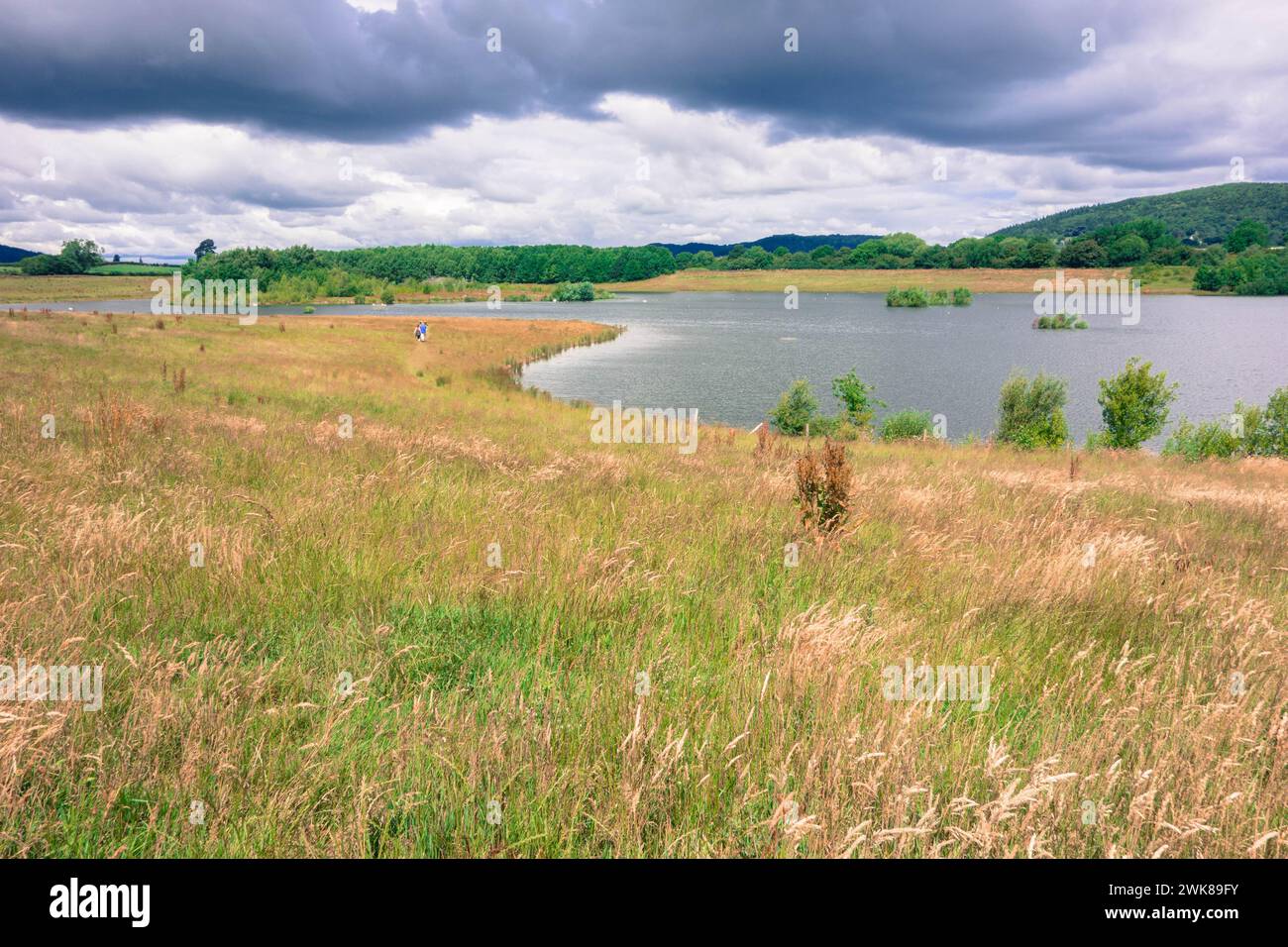 Uk july countryside hi-res stock photography and images - Alamy